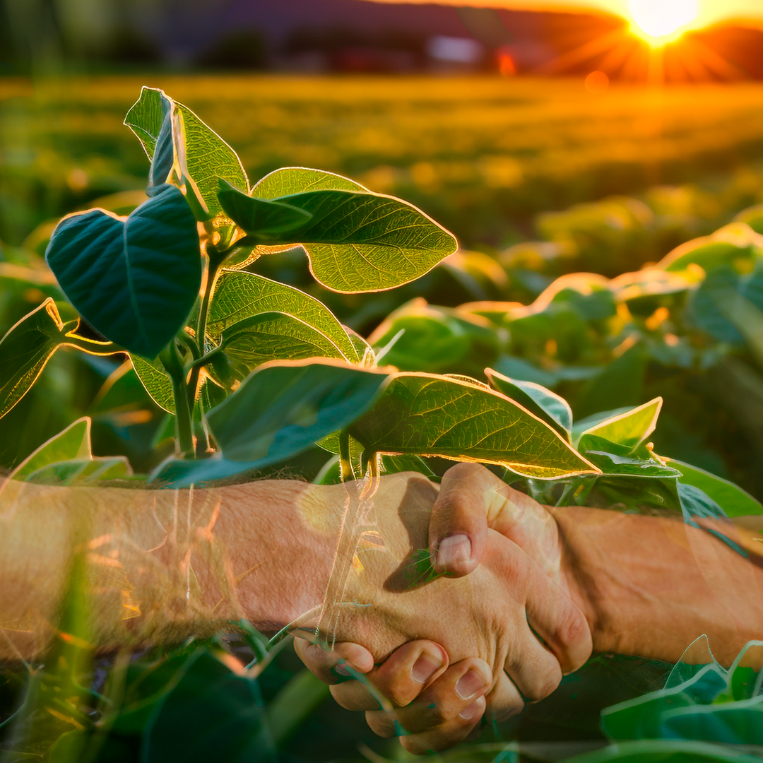 Biosphera – Biosphera Agro Solutions